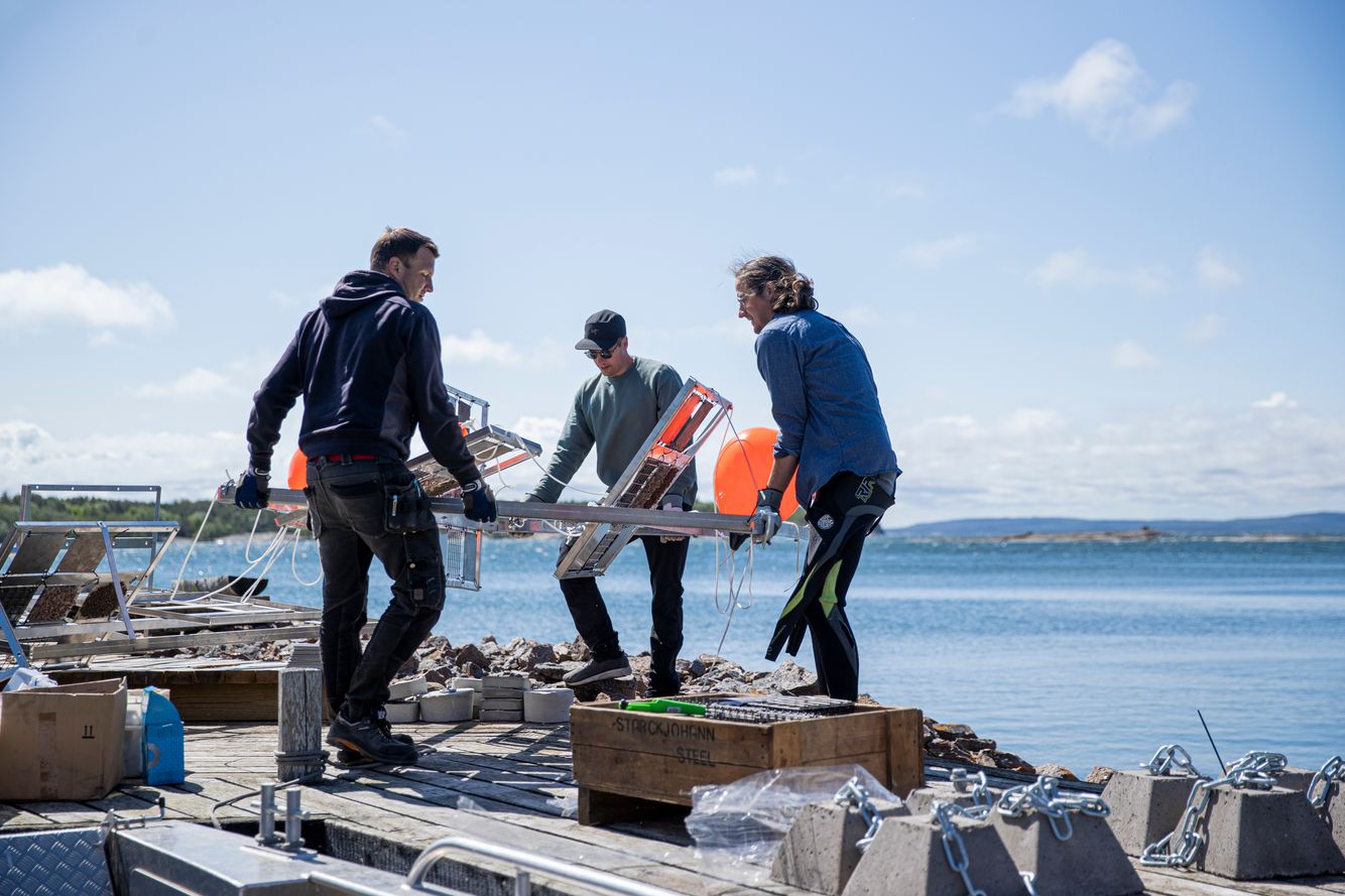 Artificial reefs in the Baltic Sea - OX2